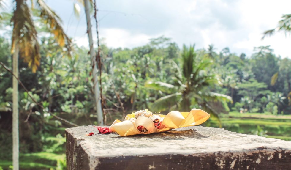 Bali Reise - Der rundum Guide für deine Reise nach Bali | Bali erleben